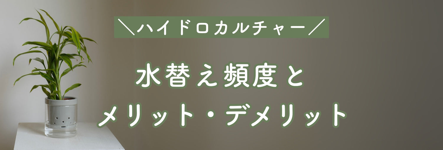 水垢もスッキリ！くびれのある花瓶や口が細い花瓶 簡単な洗い方 水垢の落とし方 Onajimi