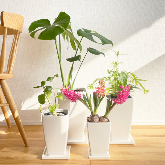 水垢もスッキリ！くびれのある花瓶や口が細い花瓶 簡単な洗い方 水垢の落とし方 Onajimi